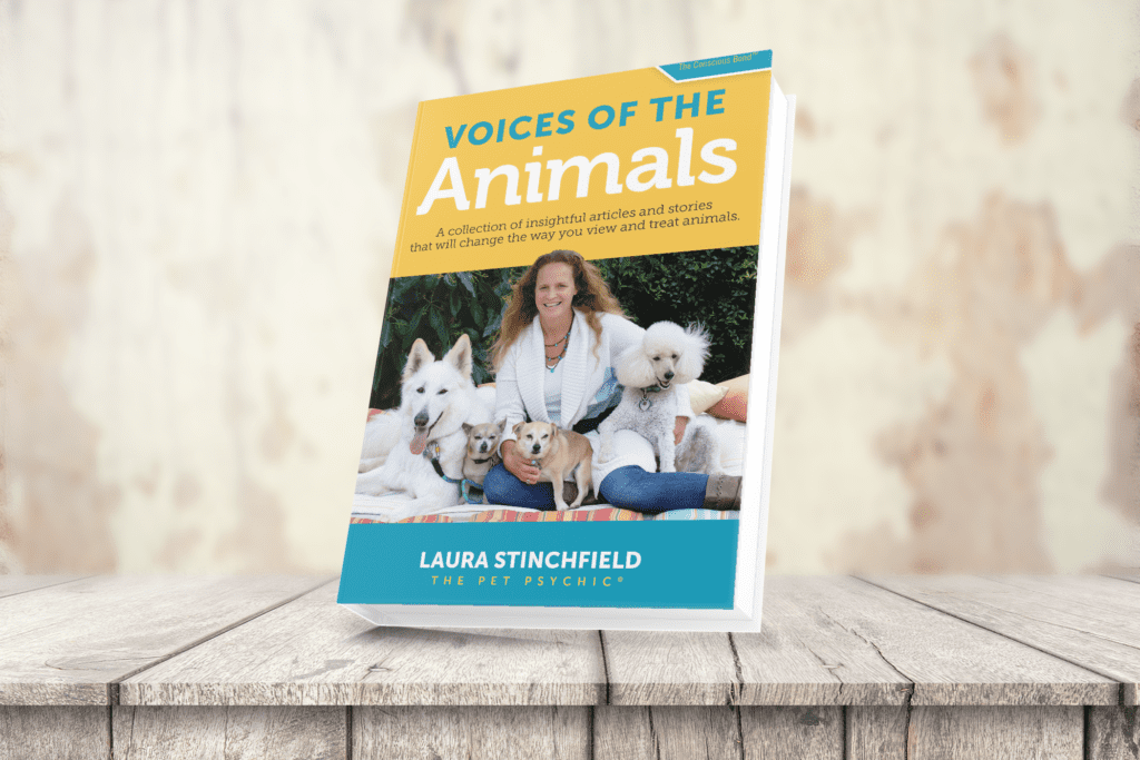 Voices of the Animals - Full PDF | The Pet Psychic®
